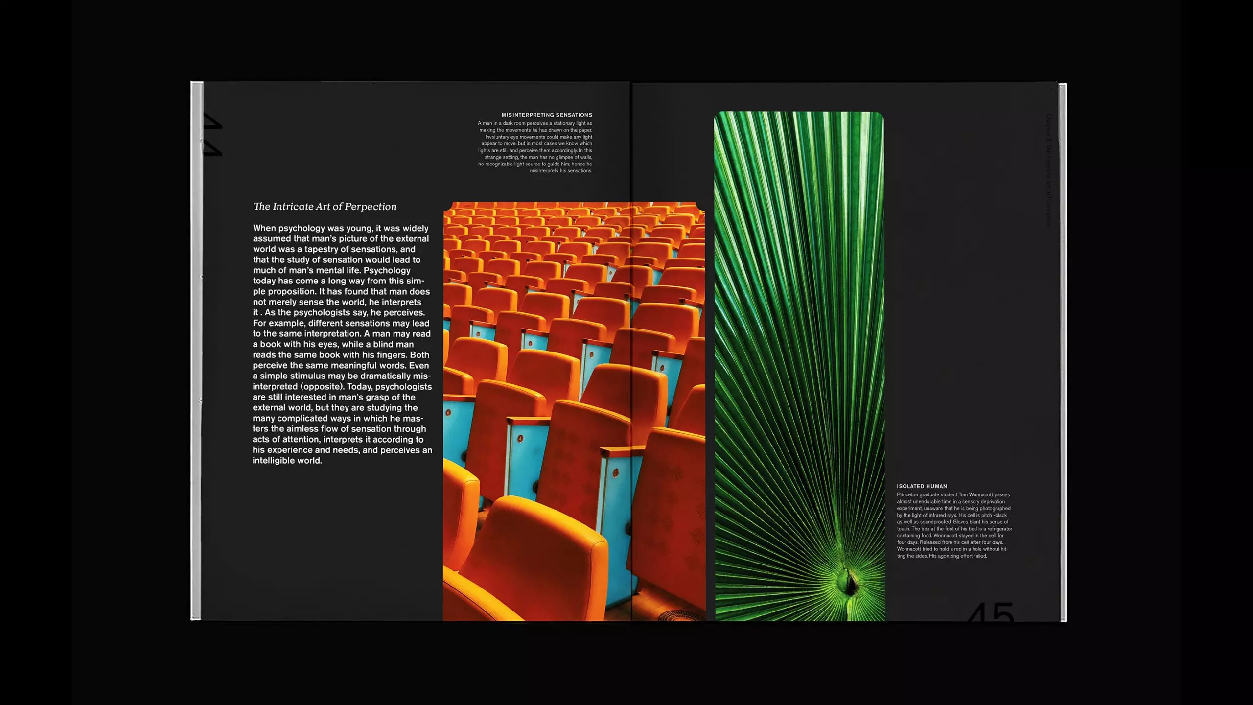 Designul tipografiei studentului descoperă complexitatea minții 10270_8