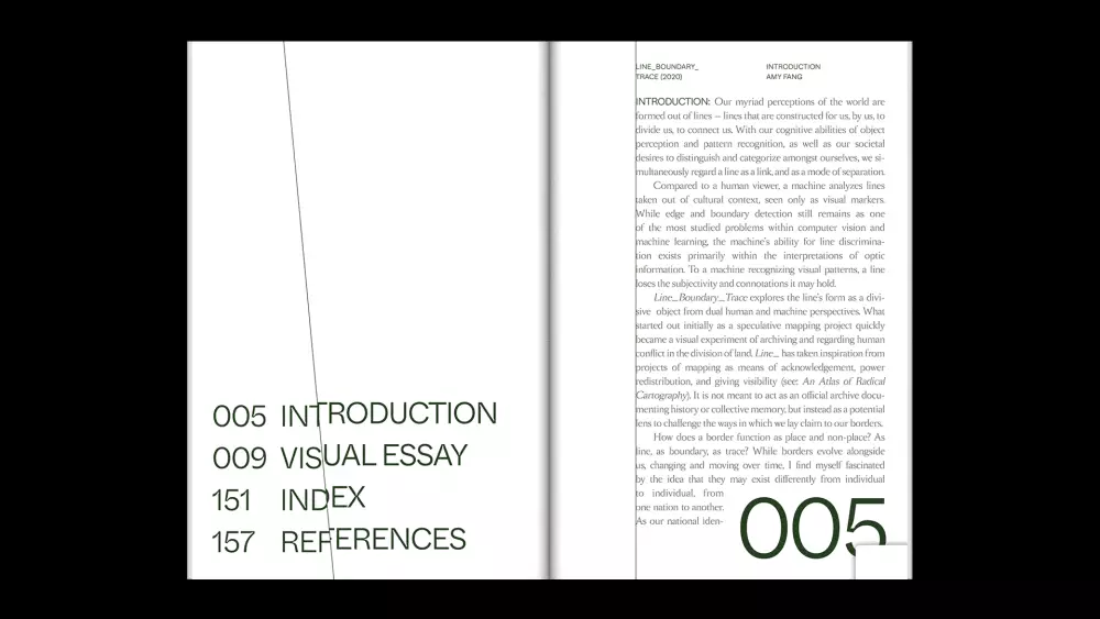 La designer Amy Fang esplora i confini topografici e tipografici 11455_2