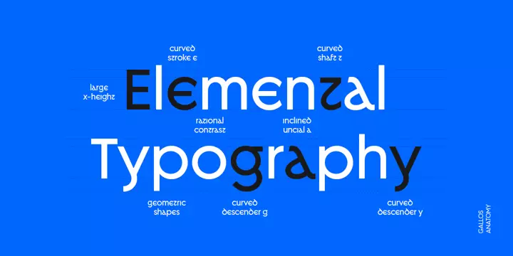 5 Top Typefaces Anyar: Agustus 2020 12560_26