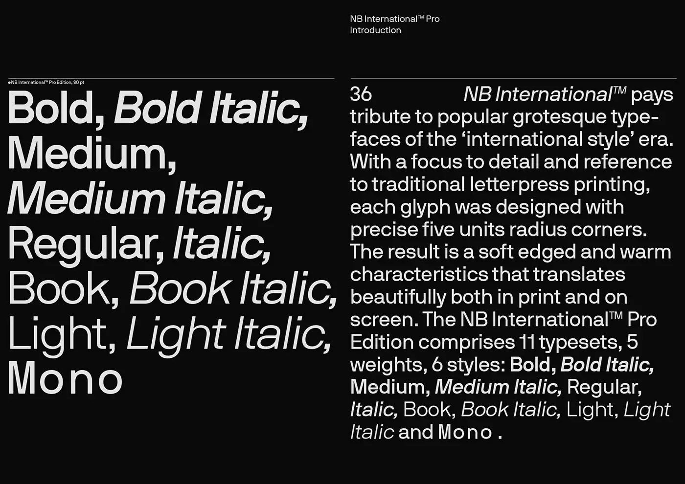 NB InternationalPro MMXXI Edition San Ọlá Fun Sans Serif Typefaces ti Atijọ 1413_1