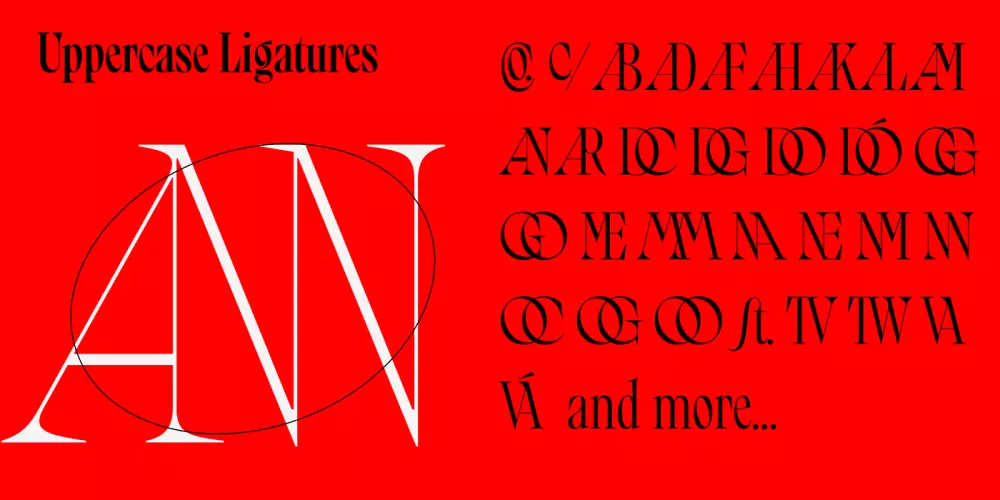 Madrid ၏ Open-Air Markets မှ လှုံ့ဆော်ပေးသော Almoneda Typeface 1425_10