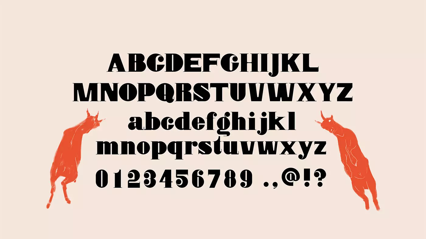 Bok is 'n gratis lettertipe wat 'n tikkie karakter by jou ontwerp sal voeg 1430_8