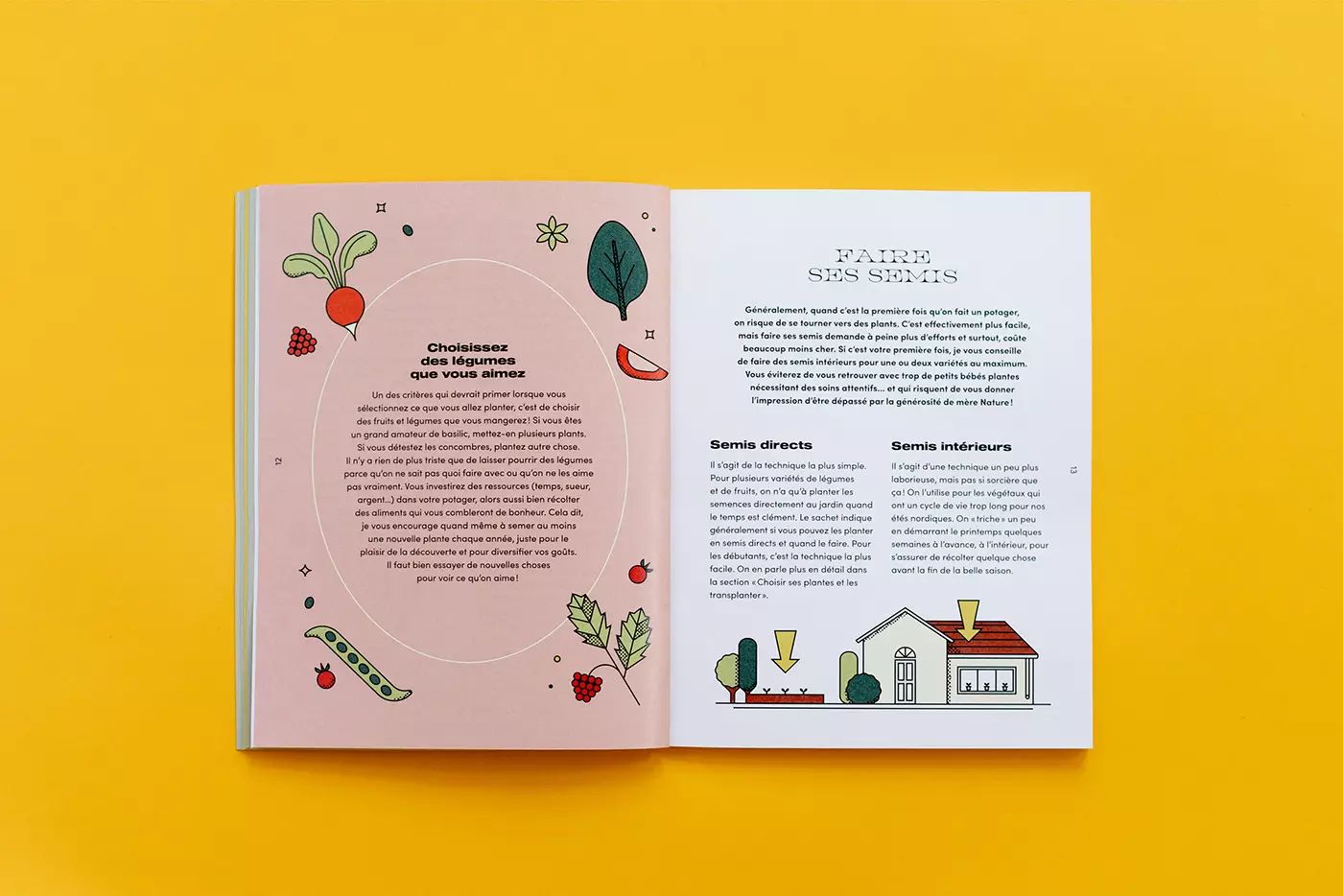 The Illustrated Gardening Book 'Le Petit Guide Illustre De Potager' توهان جو عام دستي ڪتاب ناهي