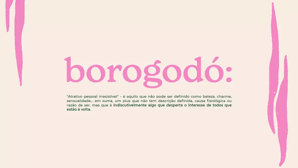 Estúdio Borogodó ຂອງປະເທດບຣາຊິນເປີດຕົວເອກະລັກຍີ່ຫໍ້ໃໝ່ທີ່ມີສີສັນສົດໃສ 1528_1