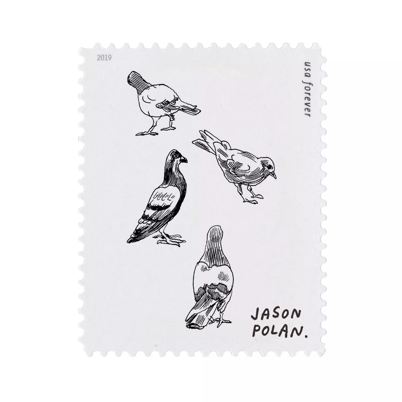 Jason Polan