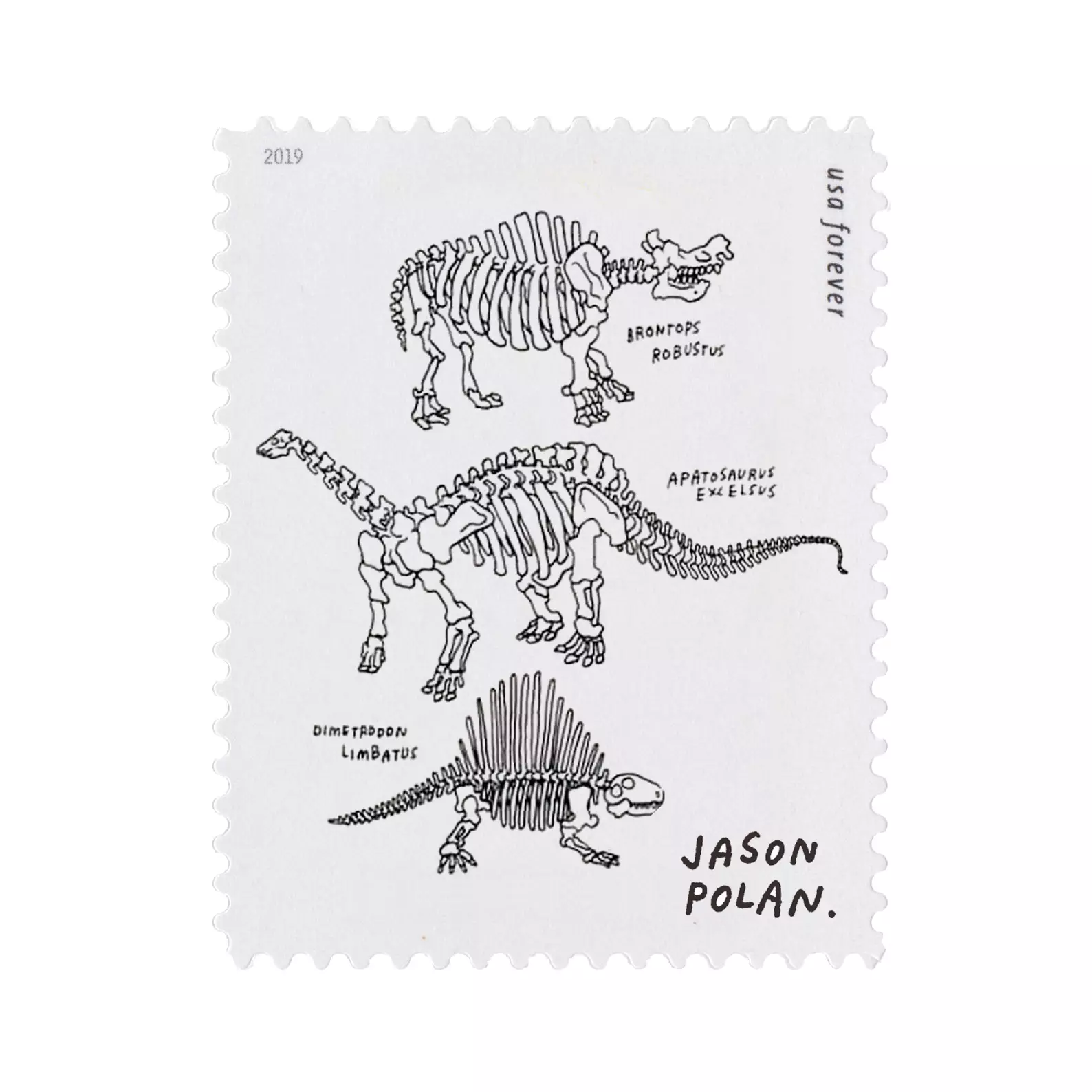 Jason Polan