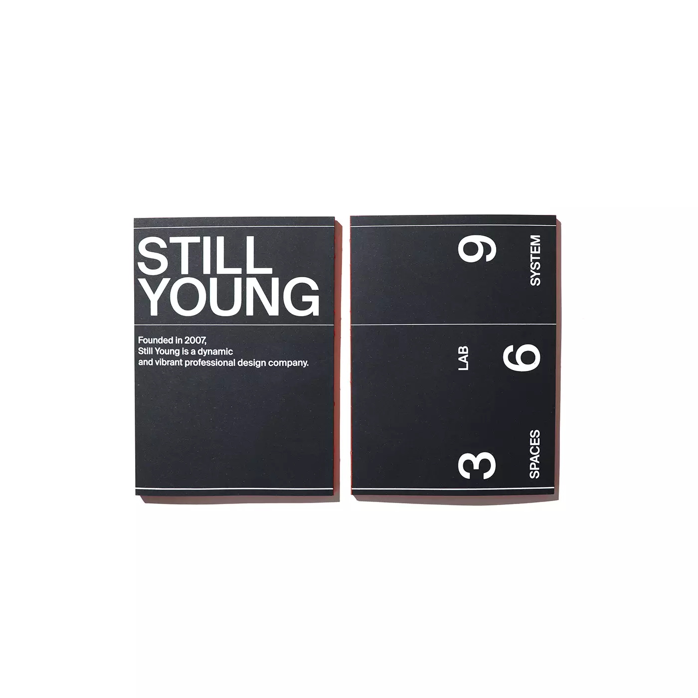 هویت بصری STILL YOUNG با روحیه پایداری ساخته شده است 1560_10