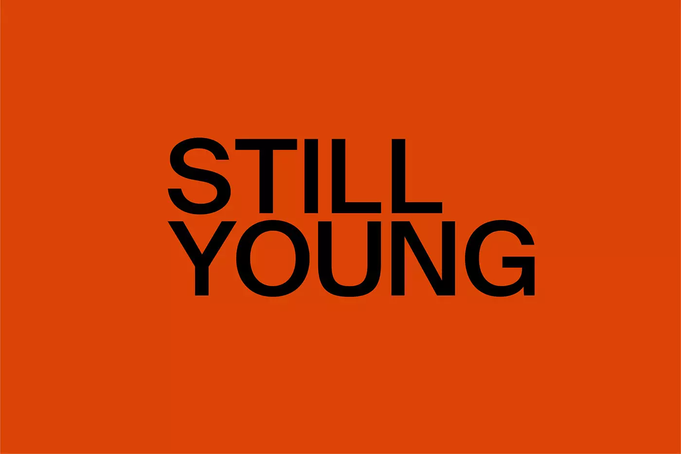 هویت بصری STILL YOUNG با روحیه پایداری ساخته شده است 1560_37