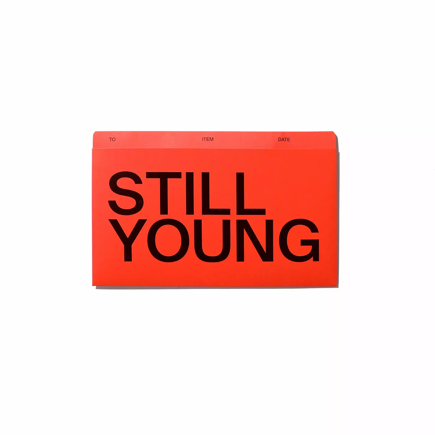 هویت بصری STILL YOUNG با روحیه پایداری ساخته شده است 1560_43