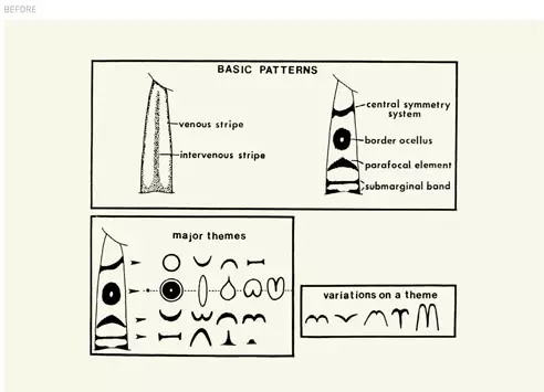 Basic Patterns