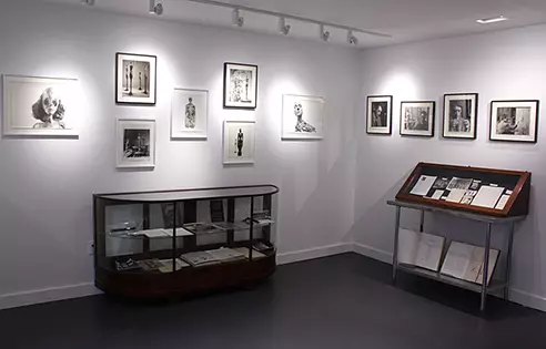 RareGallery