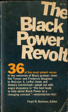 De Black Power Revolt