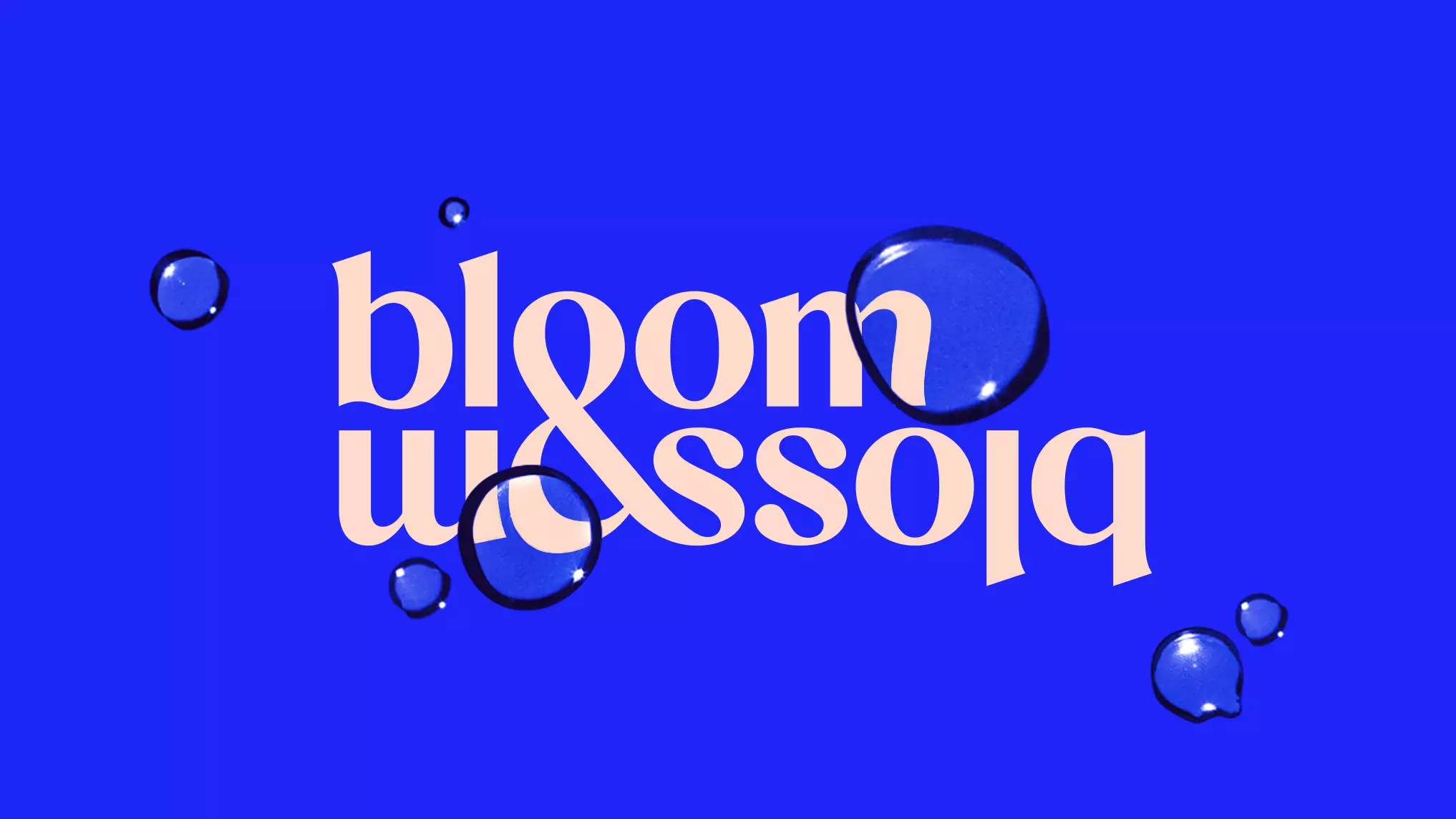 Dagens mærke: Bloom & Blossom omfavner familielivets kaos 159870_2