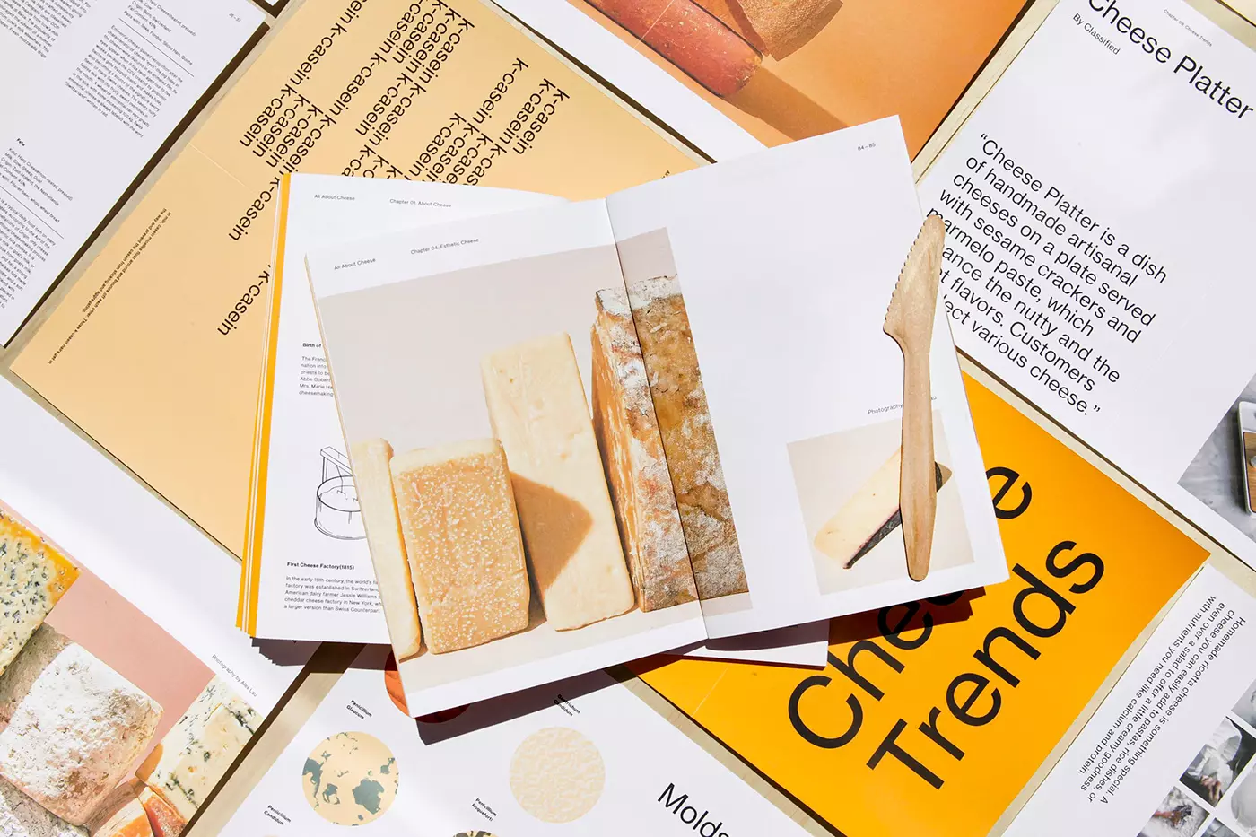 "All About Cheese" visualizza magnificamente il cibo preferito di tutti