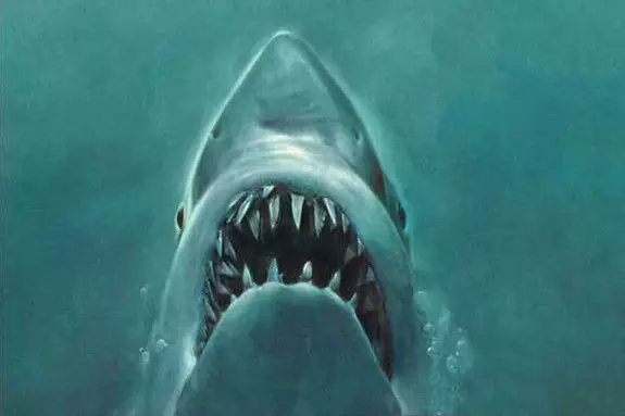 Jaws نىڭ بەلگە خاراكتېرلىك كىتاب مۇقاۋىسىنى ياساش