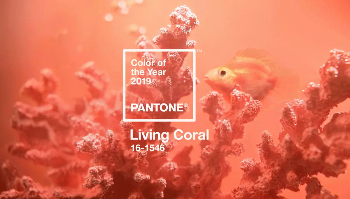 Pantone útnefnir Living Coral 2019 lit ársins