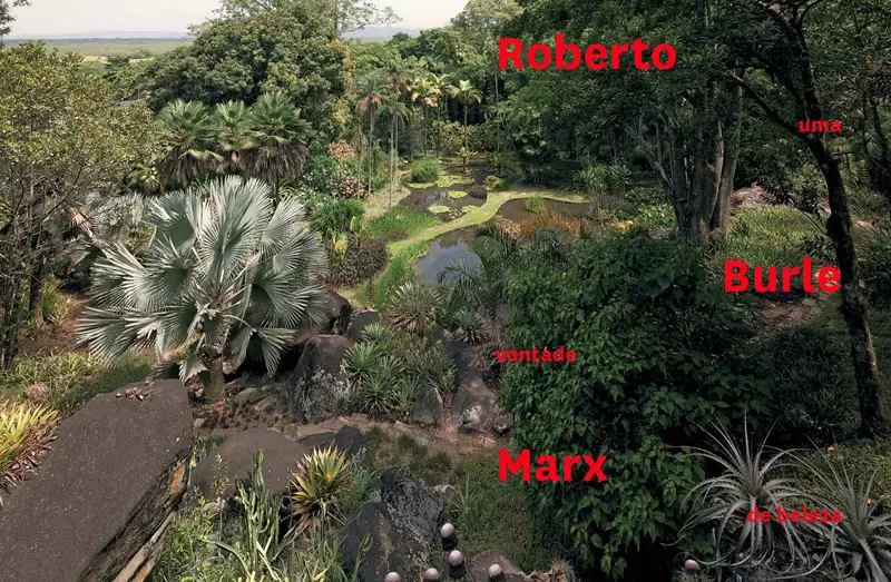 jardín construido típico de Burle Marx