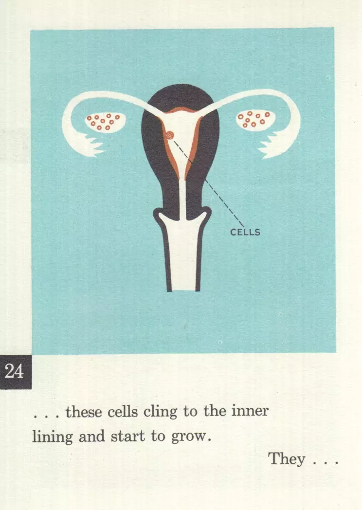 өмір 14