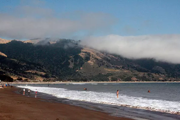 Mike Shineren Surf Shack-en barruan