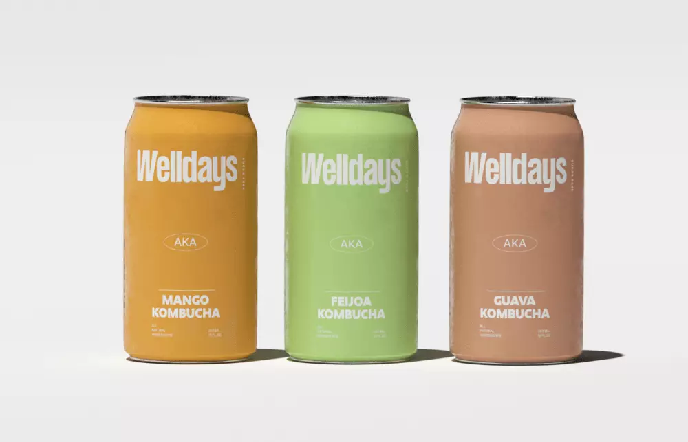 Welldays Kombucha pakend