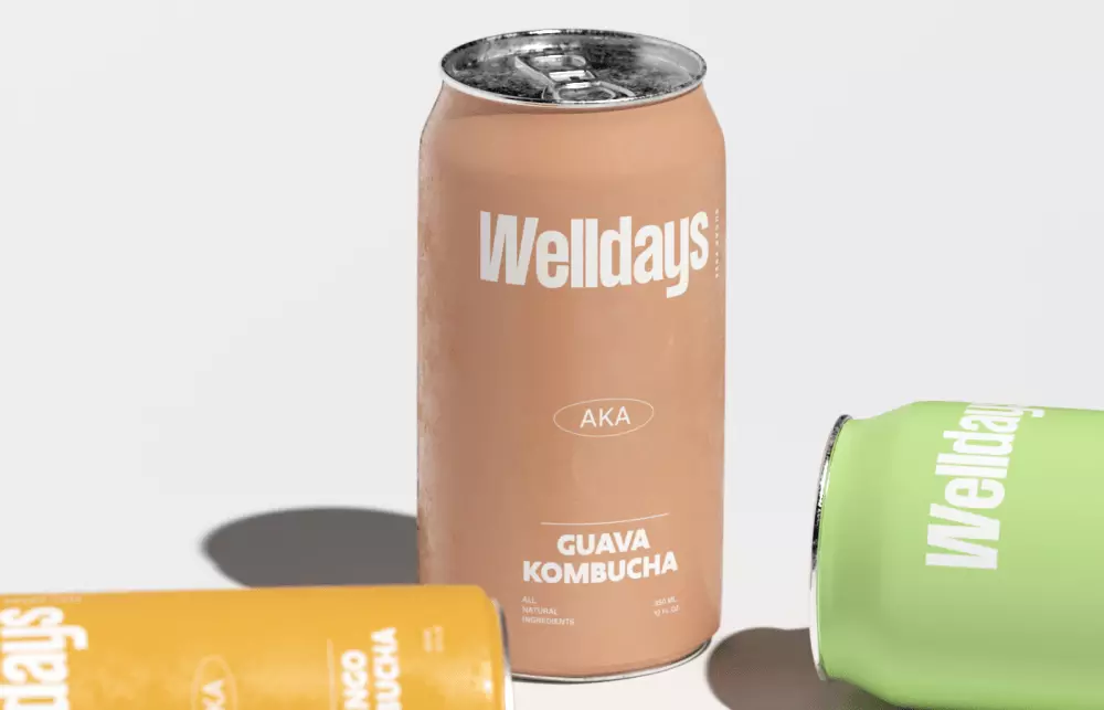 Welldays Kombucha pakend