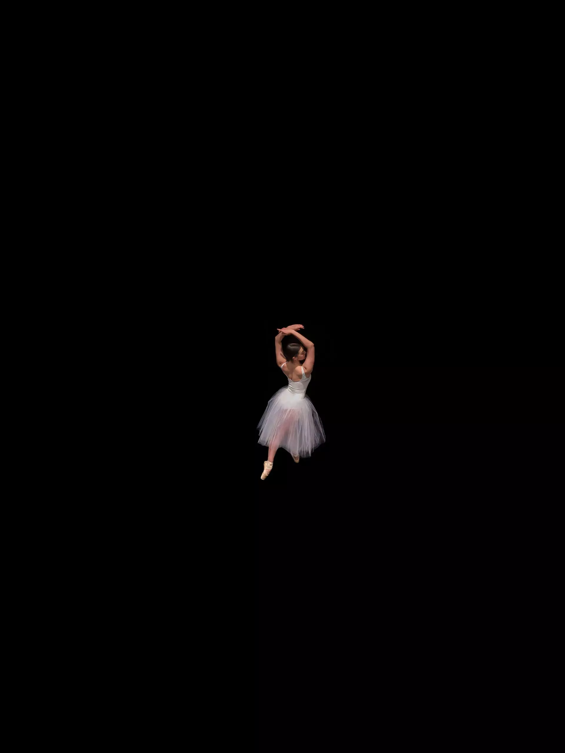 La beauté du ballet d'en haut 2301_9