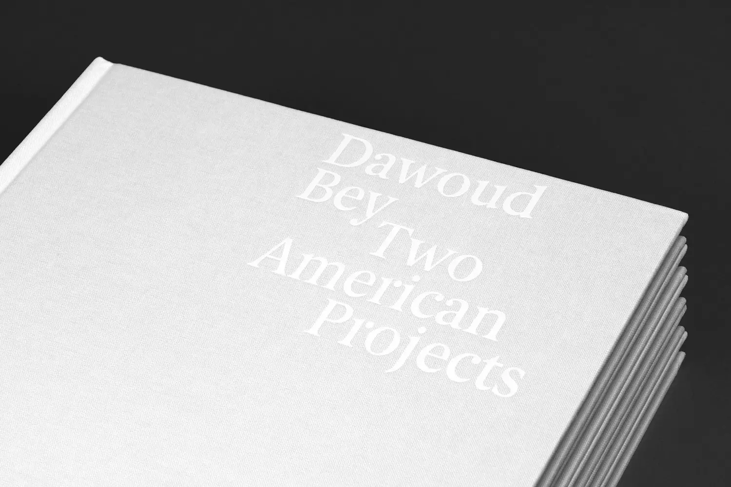 Gestaltung des brillanten neuen Buches von Dawoud Bey 2308_9