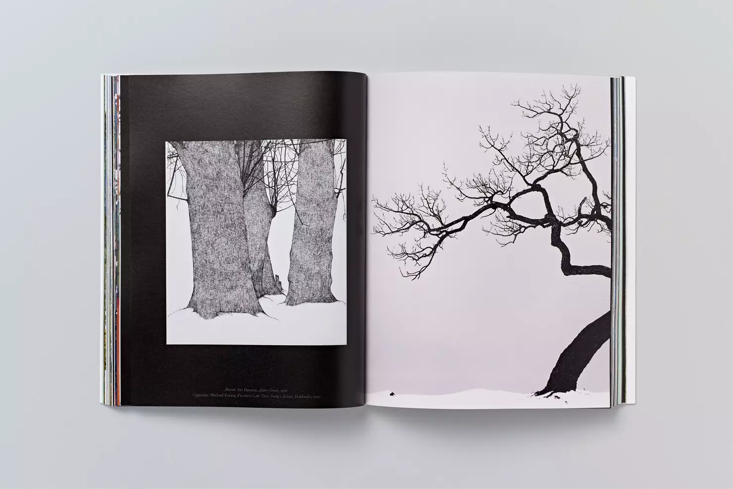 'Knjiga o stablu' je ukorijenjena u značenju umjetnosti 2360_2