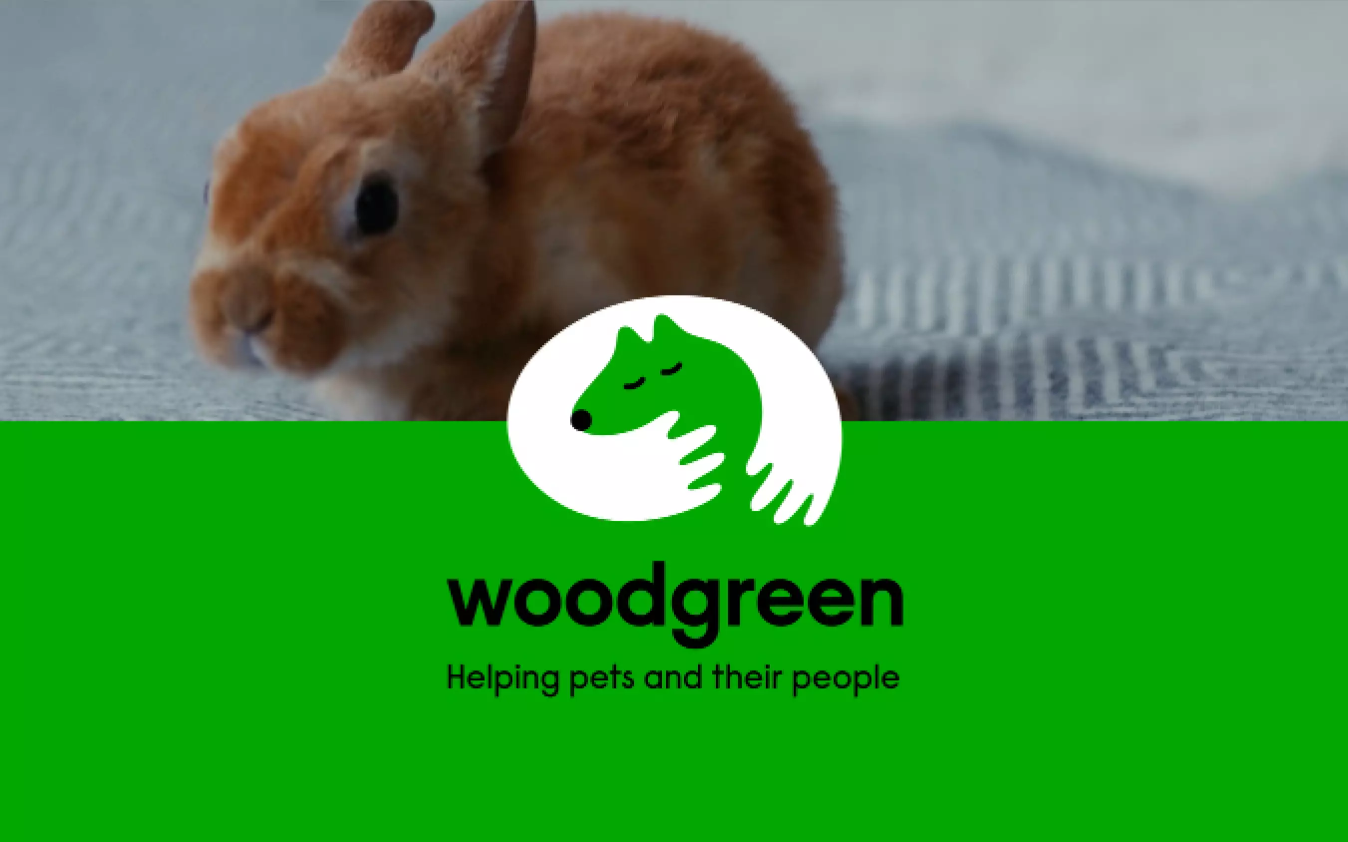 Die britische Tierschutzorganisation Woodgreen visualisiert die Liebe aus der Sicht eines Haustieres 250_1