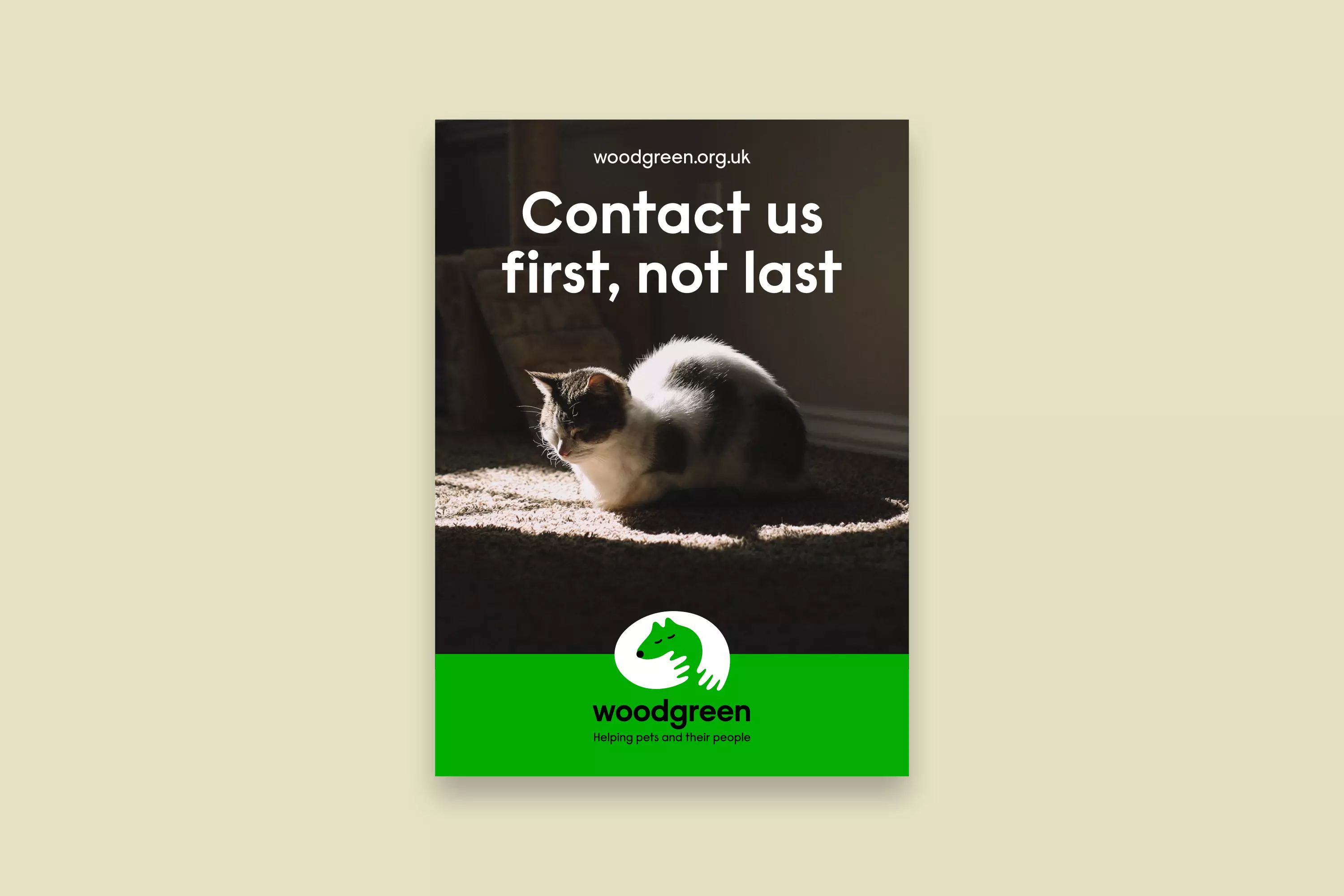 UK Animal Charity Woodgreen fisualisearret leafde út it eachpunt fan in húsdier 250_8