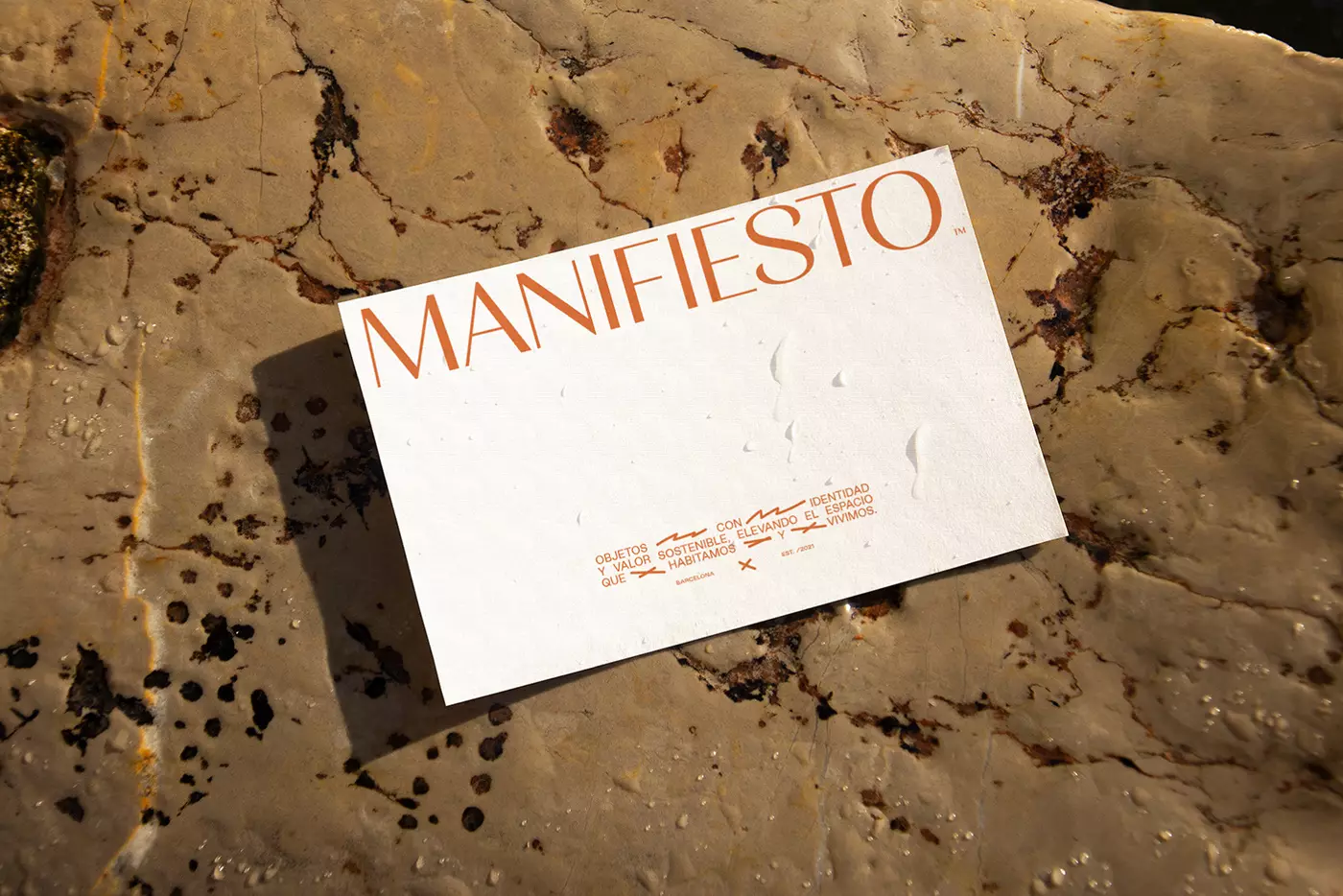 Manifiesto декорының брендингі қарама-қайшы эстетикадағы тепе-теңдікті табады 252_10