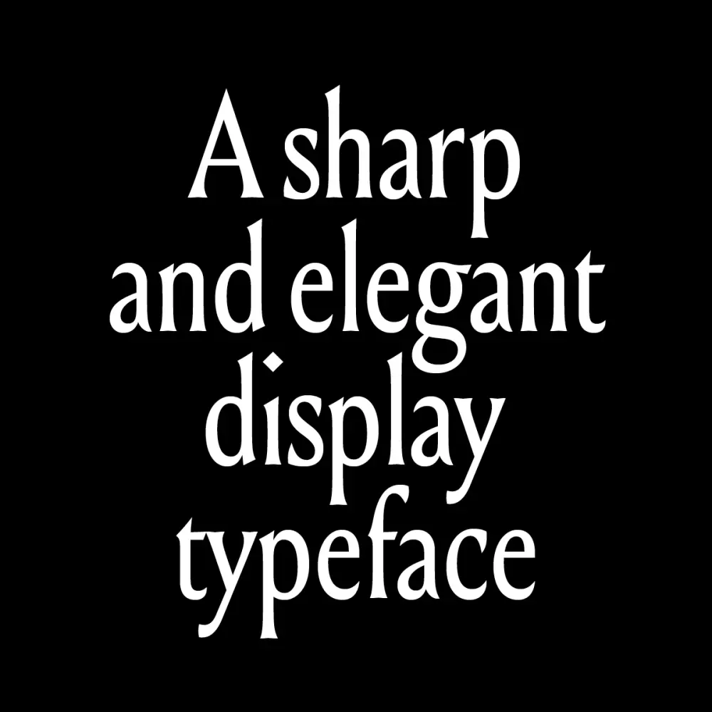 A Font Inspired By Stone Etching: Louize Display Condensed 27672_13