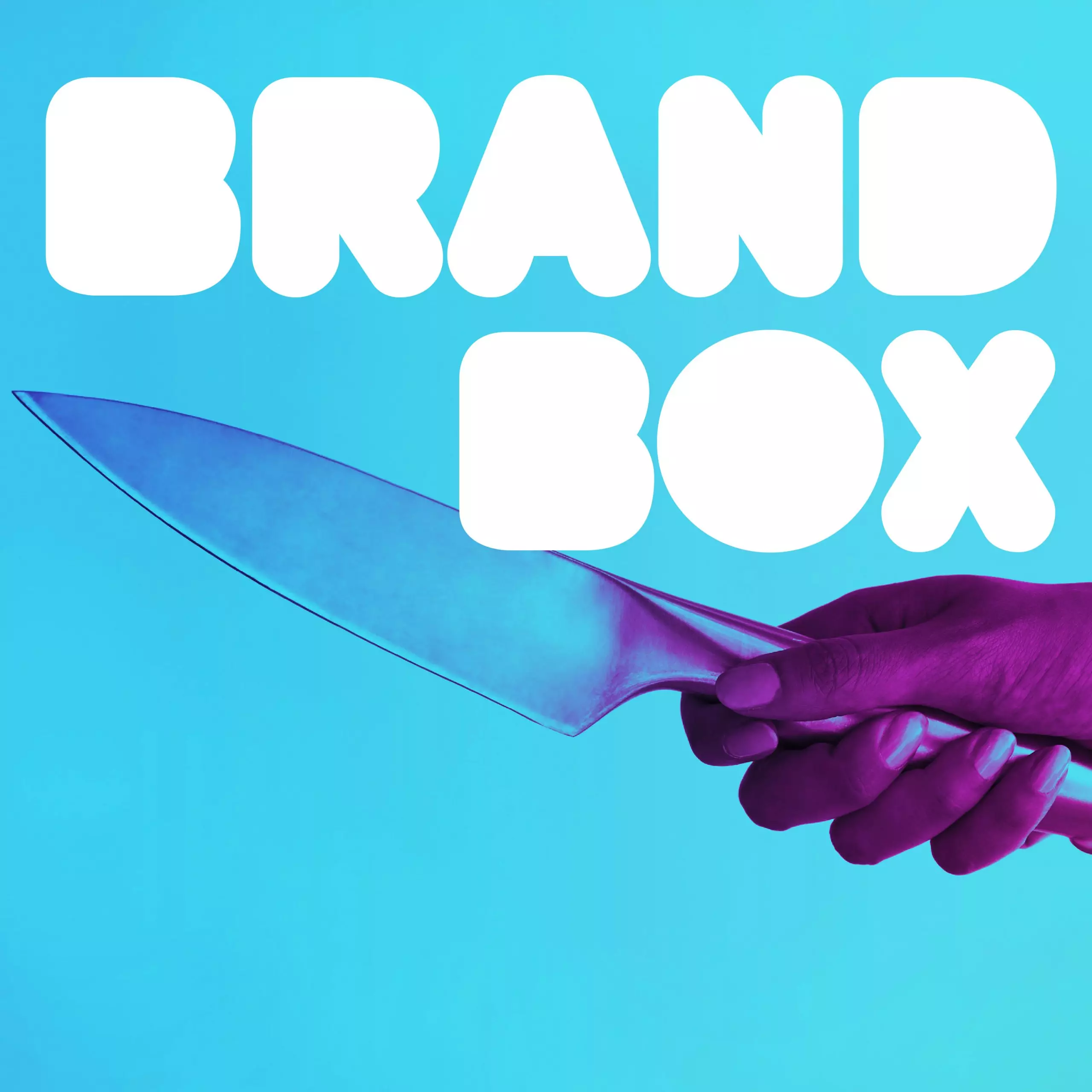 BrandBox: ຄວາມສອດຄ່ອງໂດຍການອອກແບບ, ໃນການອອກແບບ 2918_1