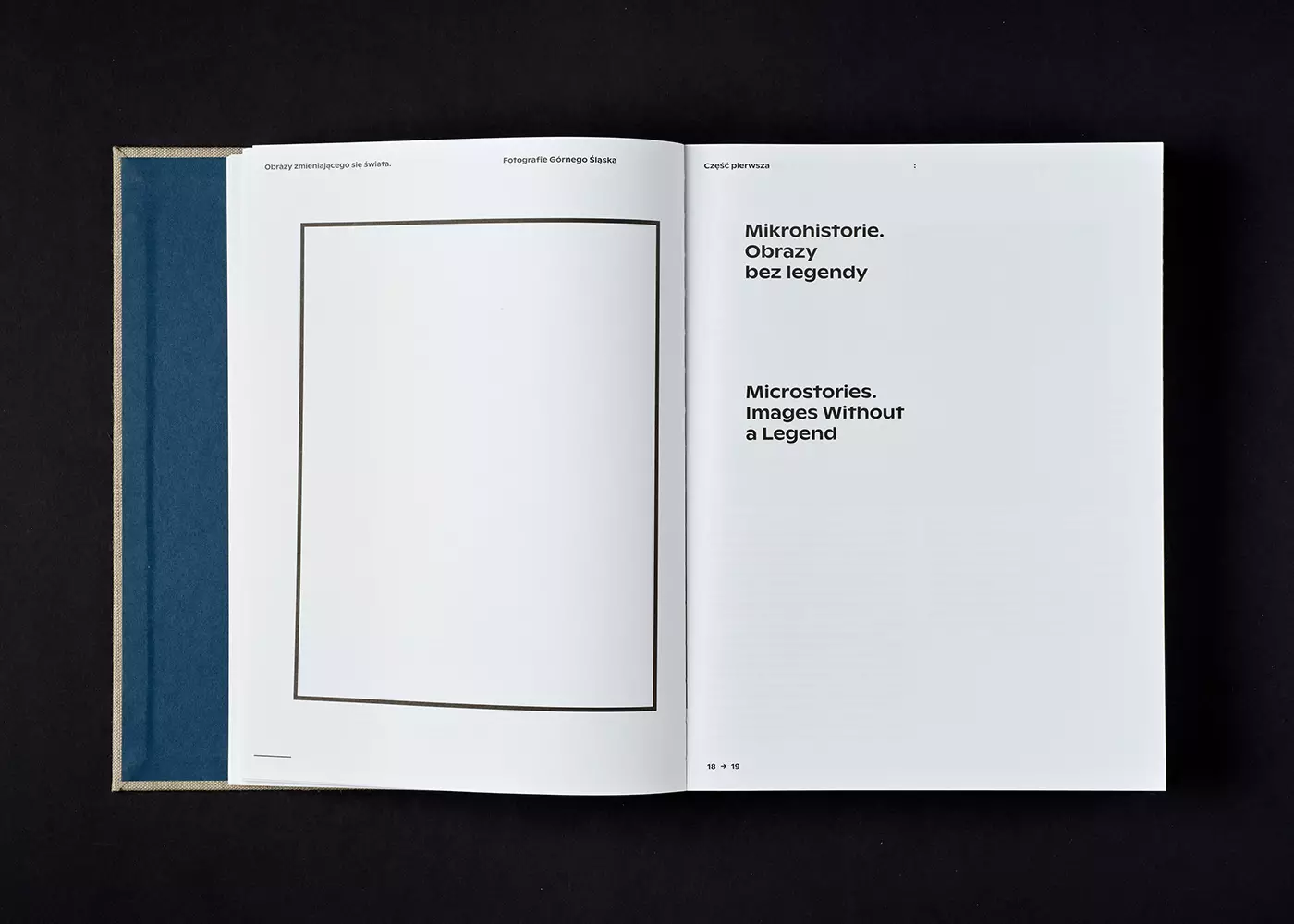 Марта Гэвиннің «Өзгеретін әлемнің суреттері» дизайн бөлшектеріне назар аударады 301_11