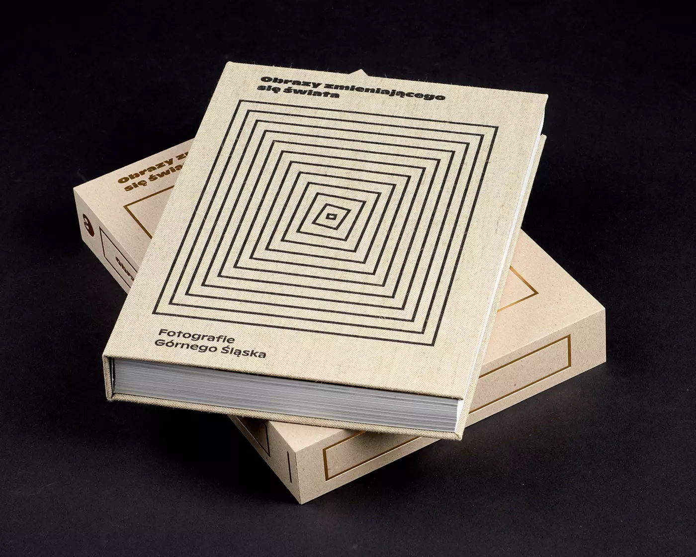 Марта Гэвиннің «Өзгеретін әлемнің суреттері» дизайн бөлшектеріне назар аударады 301_13