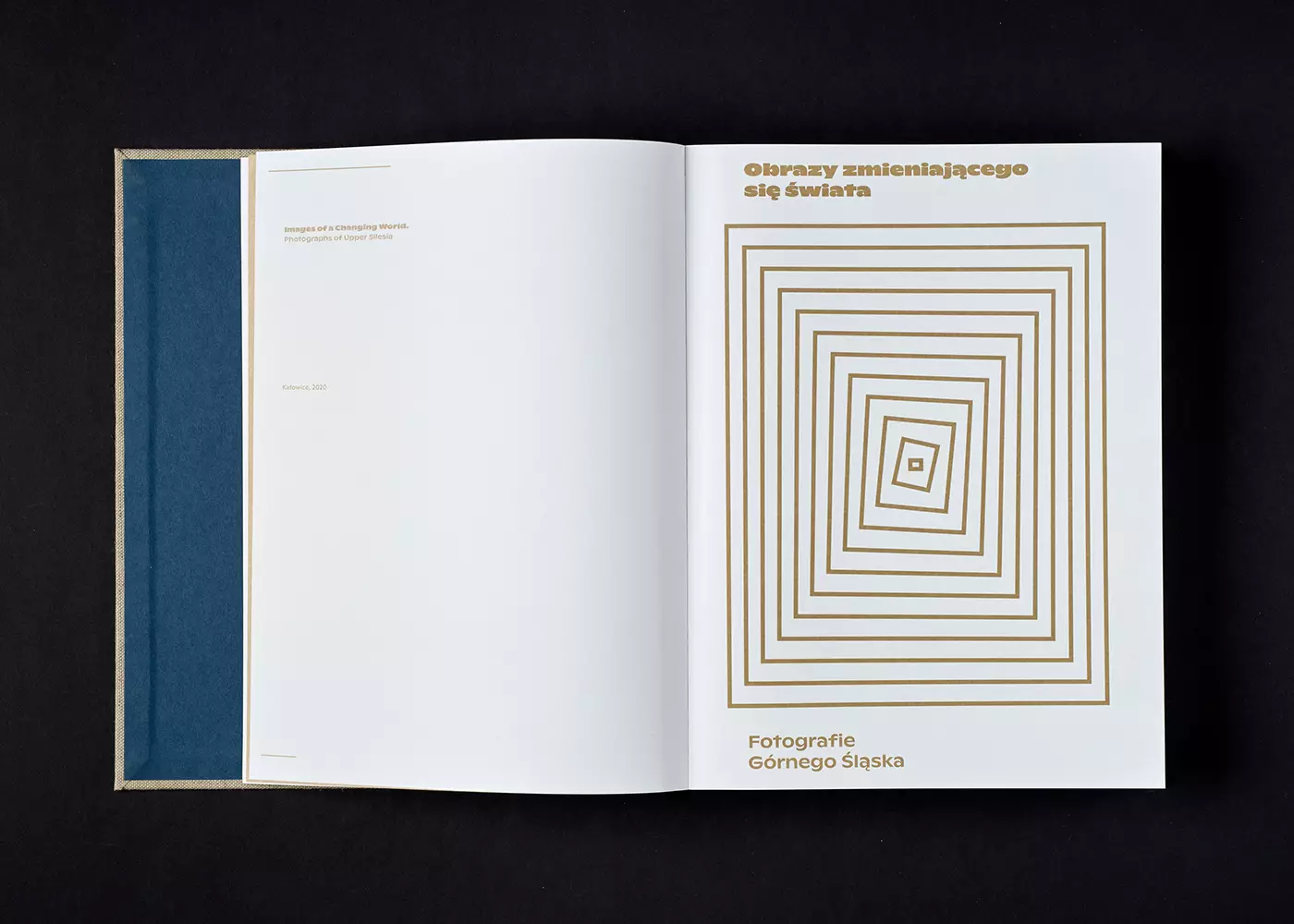 Марта Гэвиннің «Өзгеретін әлемнің суреттері» дизайн бөлшектеріне назар аударады 301_14