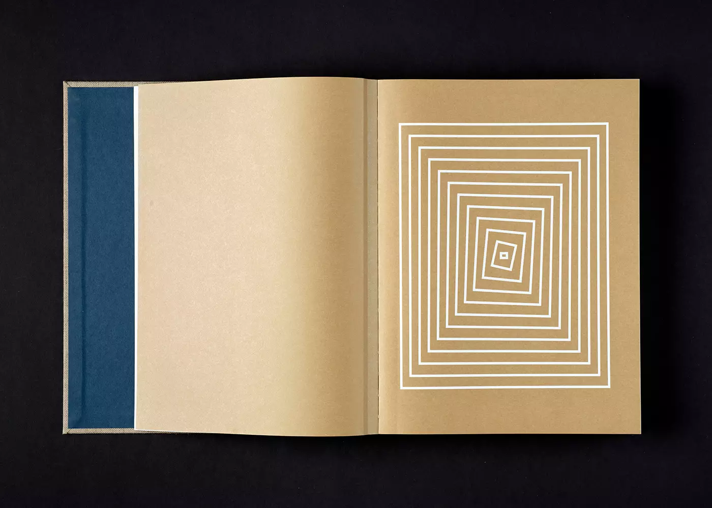 Марта Гэвиннің «Өзгеретін әлемнің суреттері» дизайн бөлшектеріне назар аударады 301_18