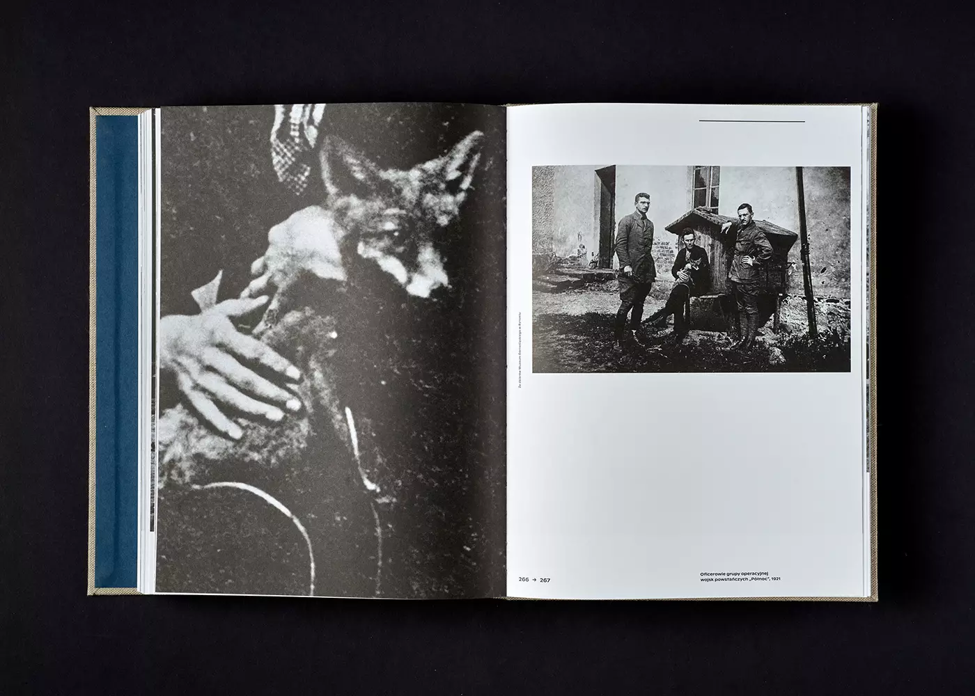 مارتا گوين جي 'تصويرن جي بدلجندڙ دنيا' ڊيزائن جي تفصيل تي ڌيان ڏئي ٿو 301_8