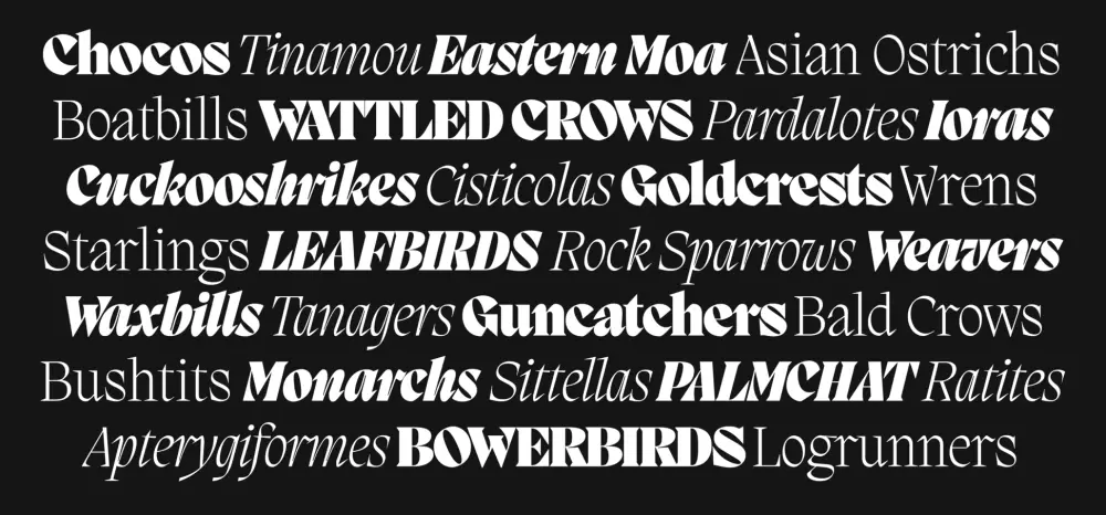 25 dei nostri nuovi caratteri tipografici preferiti del 2020 3048_75