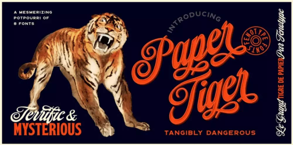 ប្រភេទថ្ងៃអង្គារ៖ The Feline Flair of Paper Tiger 3055_1