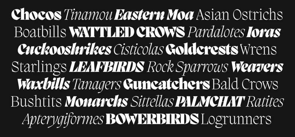 Migra Serif poleti 3062_5