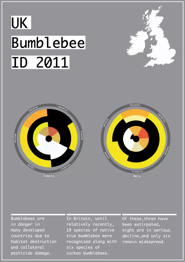 Robert Goulding on Behance မှ UK Bumblebee ID- https://www.behance.net/gallery/1117289/UK-Bumblebee-ID
