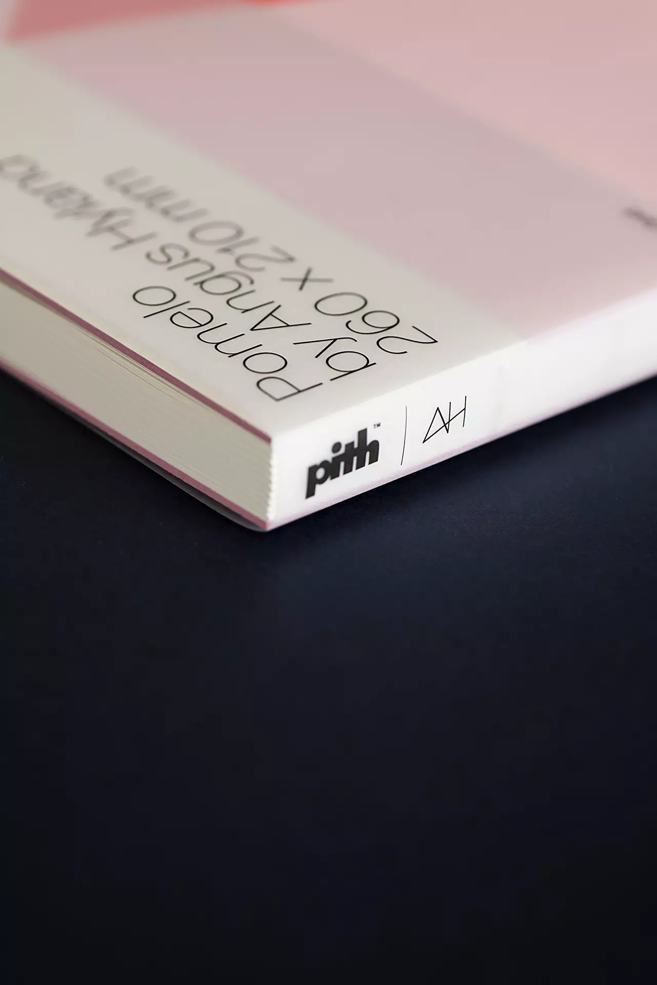 Angus Hyland соработуваше со Pith за да создаде серија на тетратки со ограничено издание 3601_8