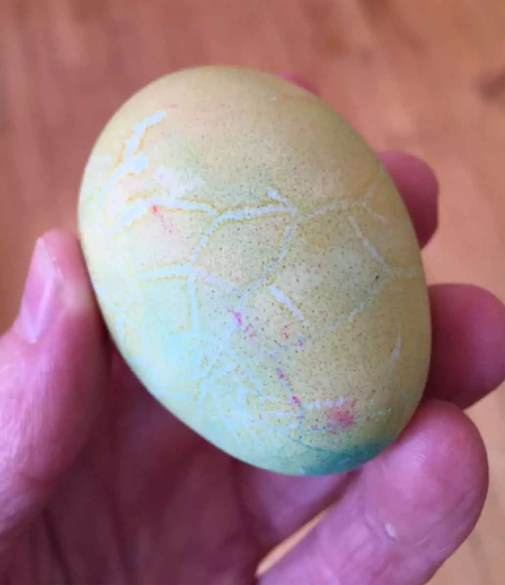 Lev-Easter-egg-1