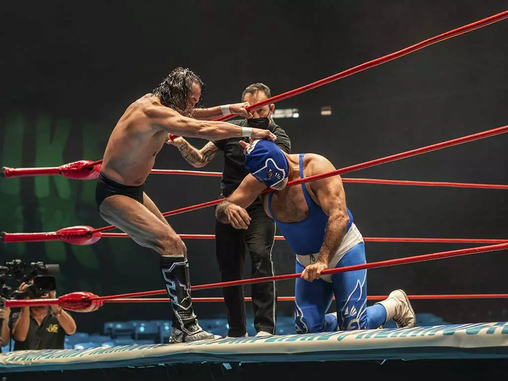 Lucha Libre 如何继续激发丰富多彩、充满活力的品牌系统 383_2