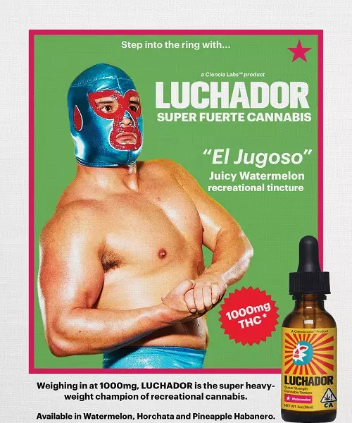 Lucha Libre 如何继续激发丰富多彩、充满活力的品牌系统 383_4