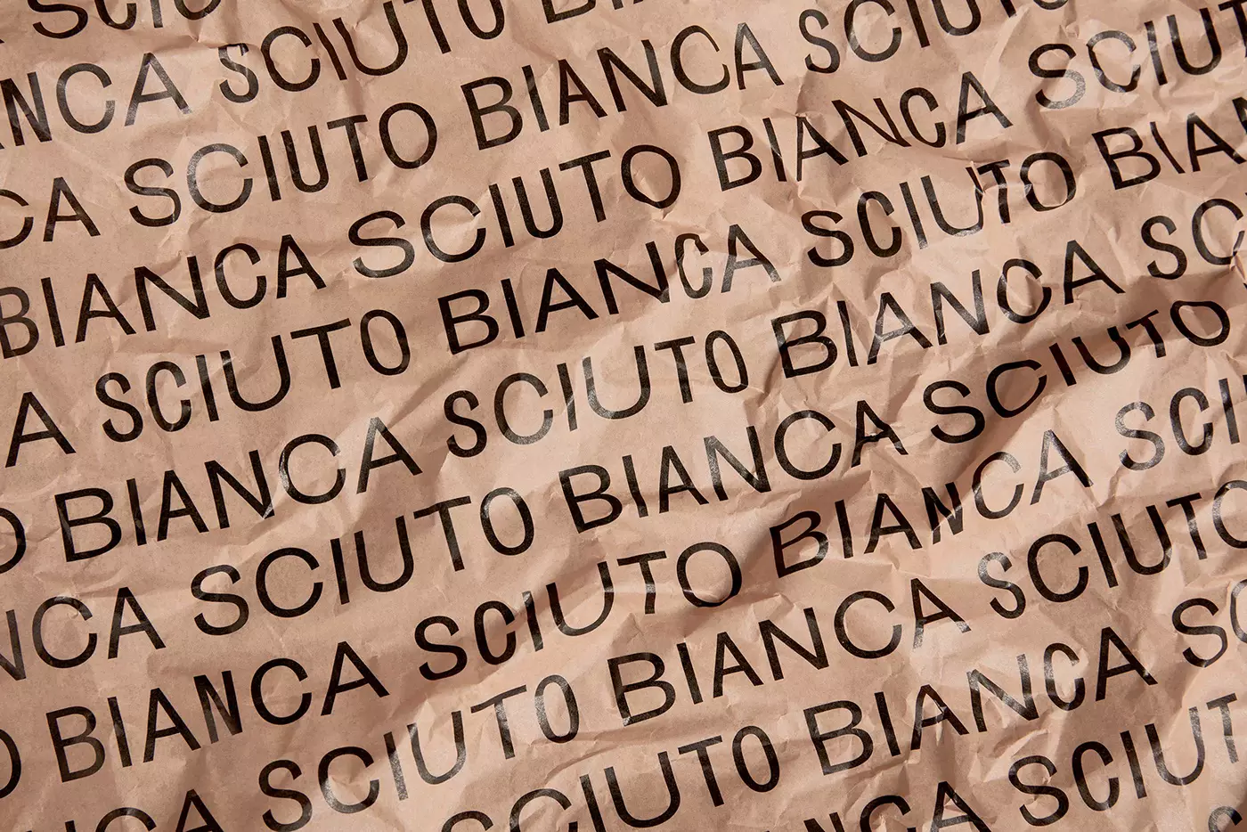 ສະຕູດິໂອທັງສອງເຮັດວຽກກັບ Bianca Sciuto ເພື່ອສ້າງຕົວຕົນຂອງສາຍຕາທີ່ຫຼາກຫຼາຍ 4020_12