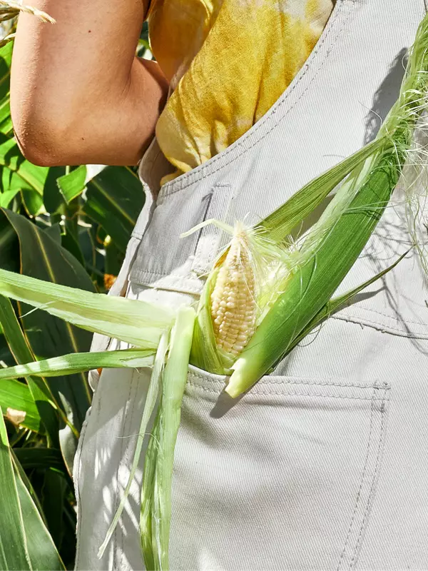 நீங்கள் எங்கு சாப்பிடுகிறீர்கள், எனவே இனிப்புக் கீரையை உண்ணுங்கள் 4173_2