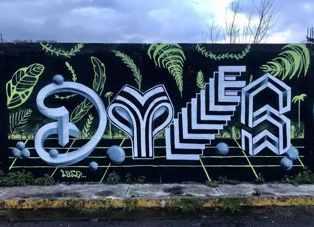ද ඩේලි හෙලර්: DYES’ Graffiti Transforms Language on the Street