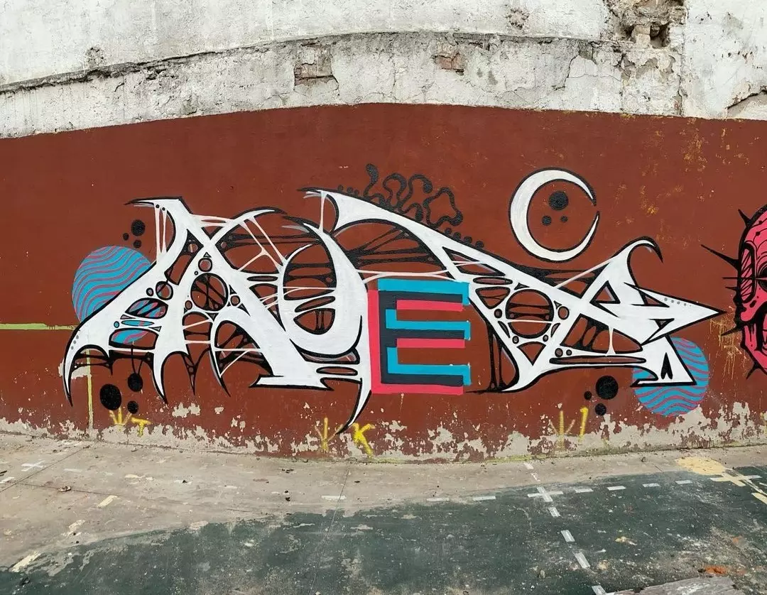 Дејли Хелер: Графитите на DYES го трансформираат јазикот на улица 430_8